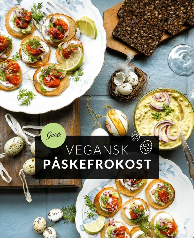 10 vegetaropskrifter – Inspiration og idéer til nemme vegetarretter